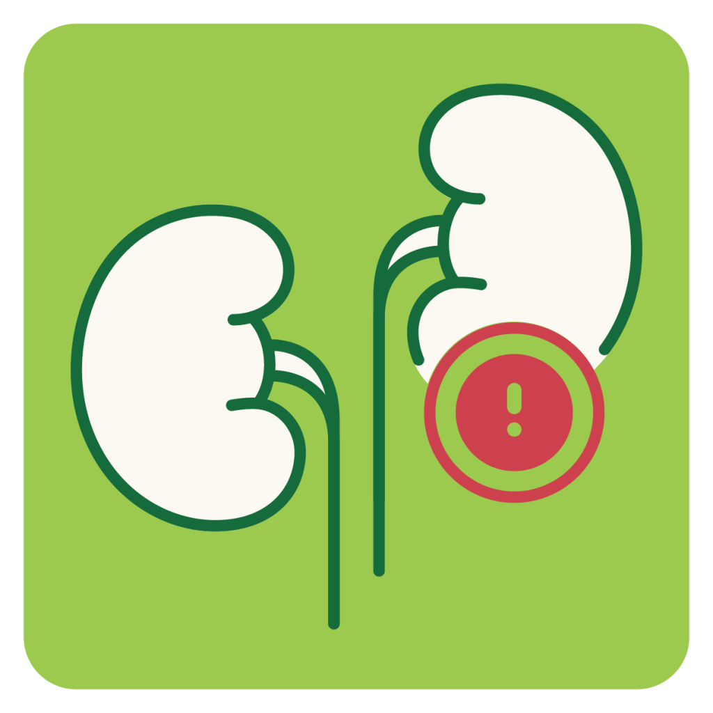 What You Need to Know About SPICE and K2: Understanding Synthetic ...