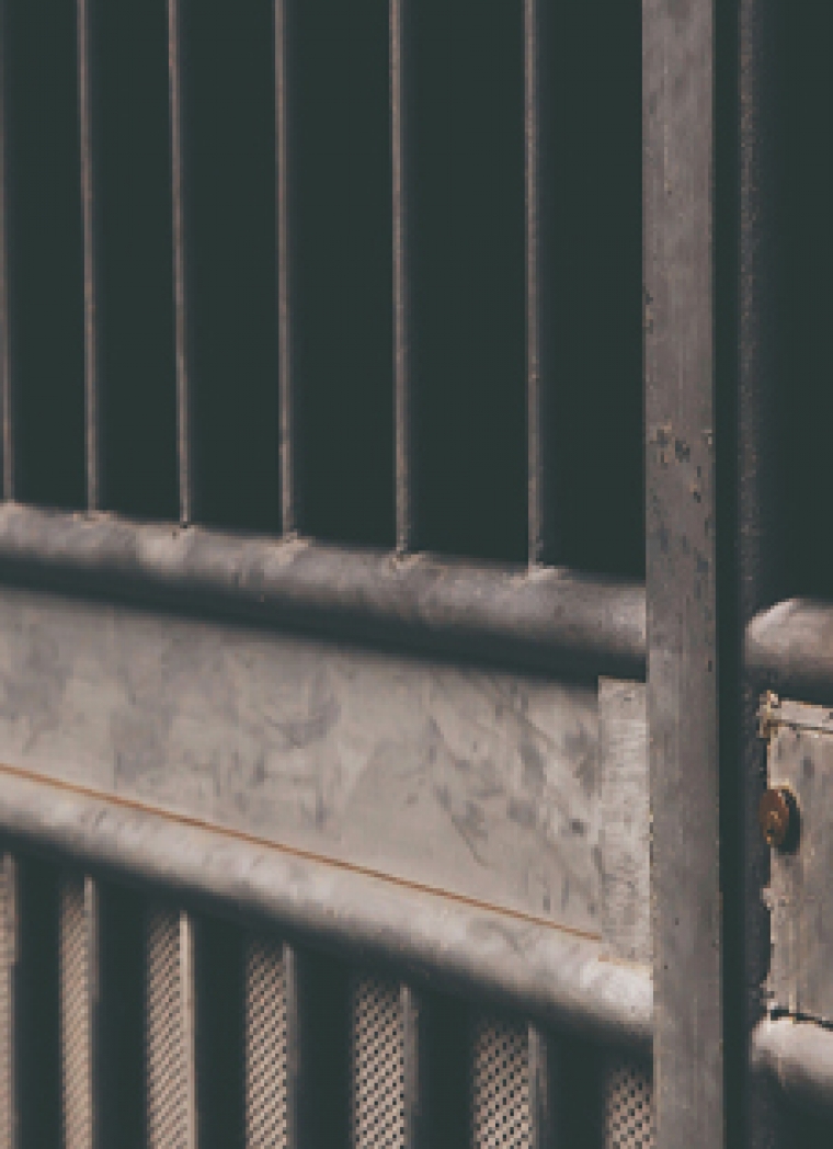 Risk-Need-Responsivity (RNR) Model – CASAT OnDemand